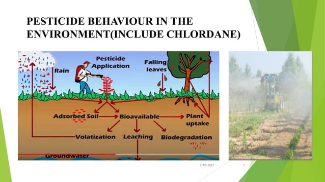 Chlordane in the Environment_VALERIEN.pptx | Indoor Environmental ...
