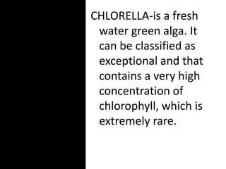 Chlorella | PDF
