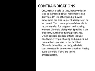 Chlorella | PDF