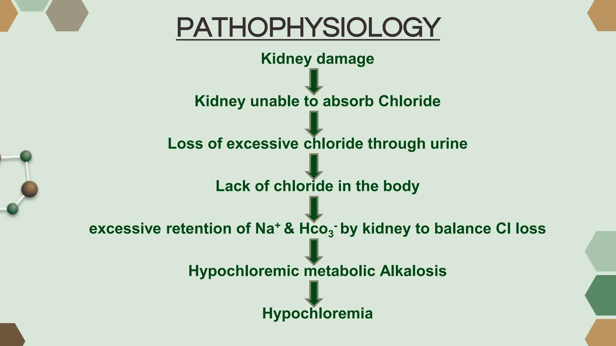 Chloremia adult health nursing for bsc nursing 3rd semester.pptx