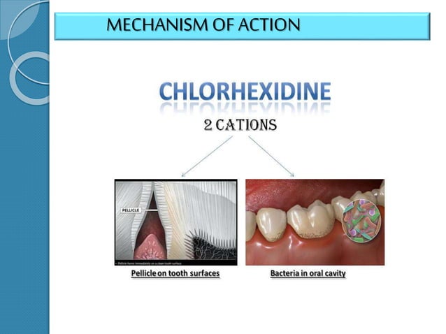 Chlorhexidine | PPTX | Skin Care | Beauty