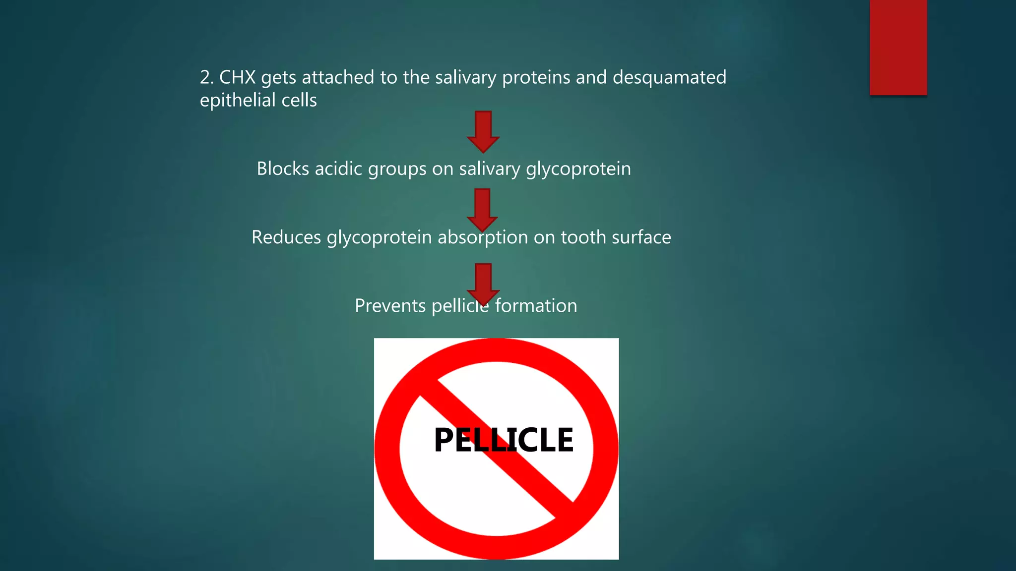 Chlorhexidine | PPTX