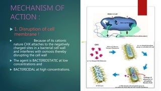 Chlorhexidine | PPTX