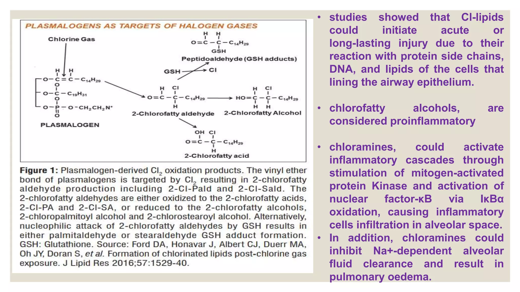 Chlorine Toxicity | PPTX | Lung and Respiratory Health | Diseases and ...