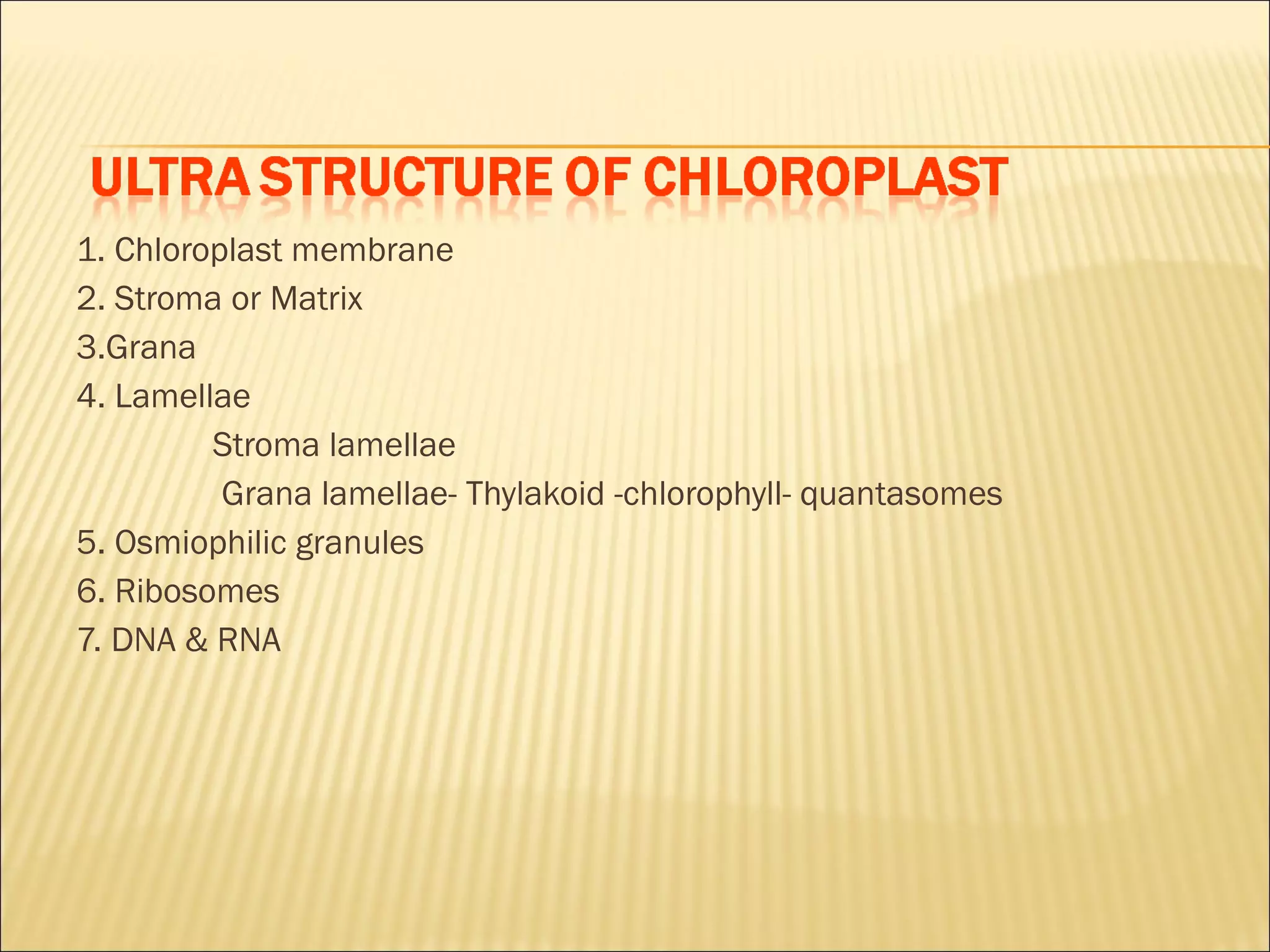 Chloro.ppt