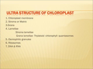 Chloro.ppt | Chemistry | Science