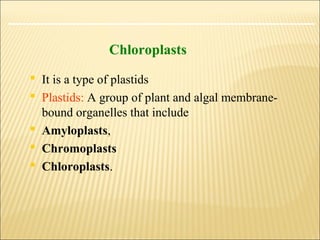 Chloro.ppt | Chemistry | Science