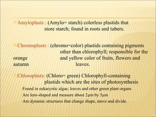 Chloro.ppt | Chemistry | Science