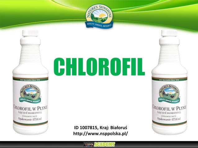 Chlorofil prezentacja | PPT