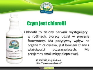Chlorofil prezentacja | PPT