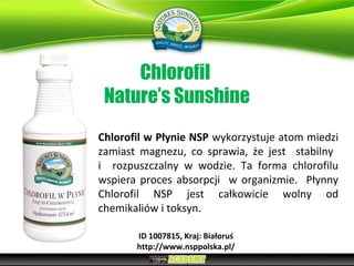 Chlorofil prezentacja | PPT