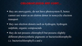 Chloroflexus & spirullina | PPTX