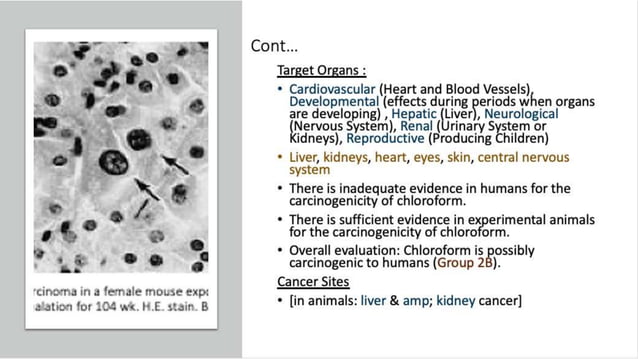 Chloroform brief history and toxicity - general toxicological practical ...