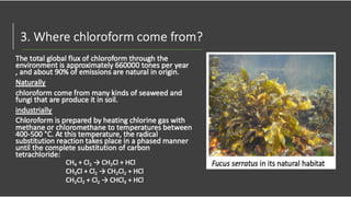 Chloroform brief history and toxicity - general toxicological practical ...