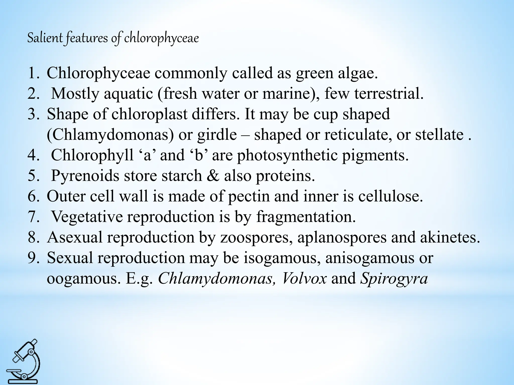 Chlorophyceae.pptx