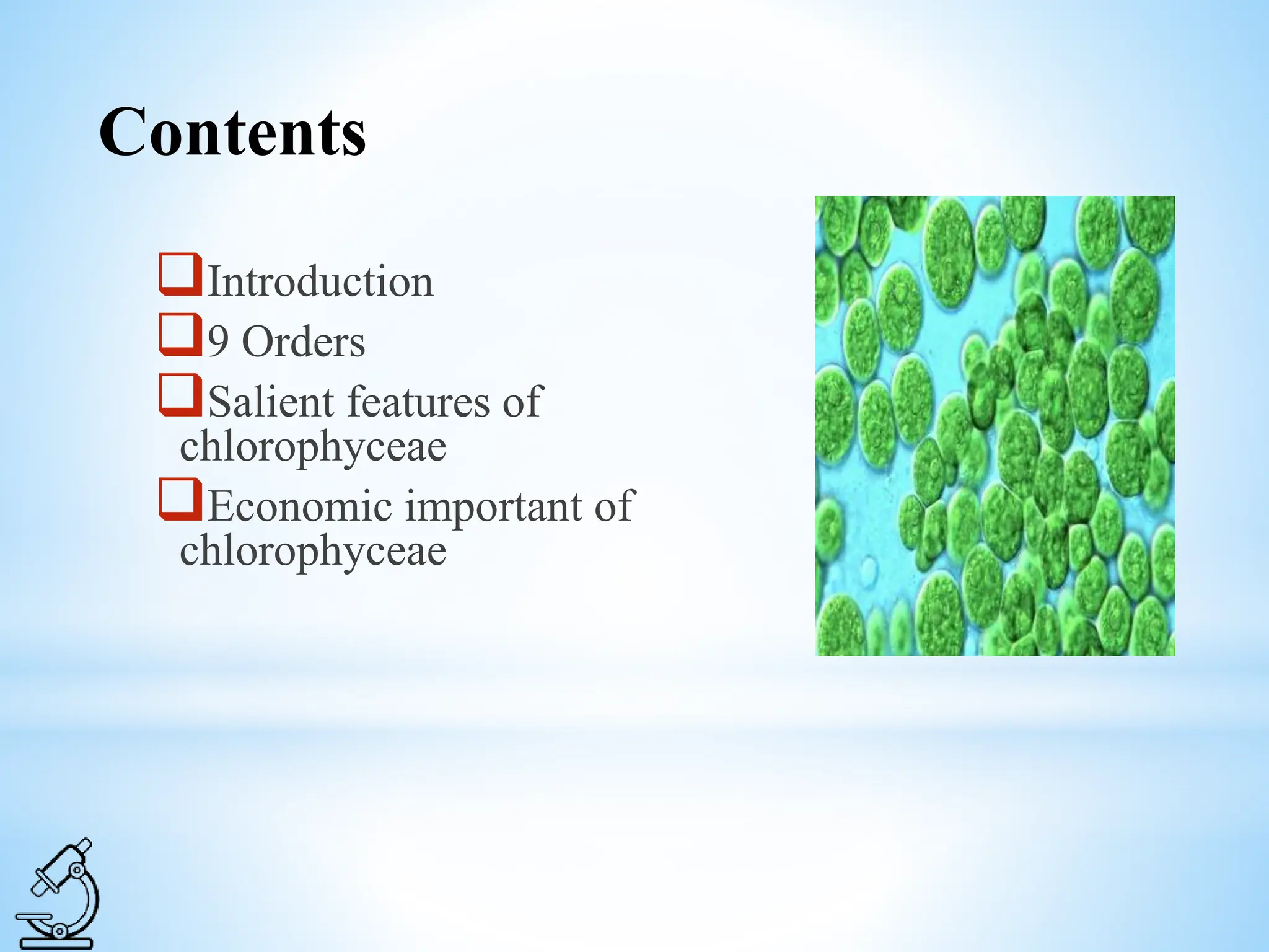 Chlorophyceae.pptx