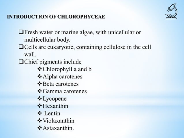 Chlorophyceae.pptx