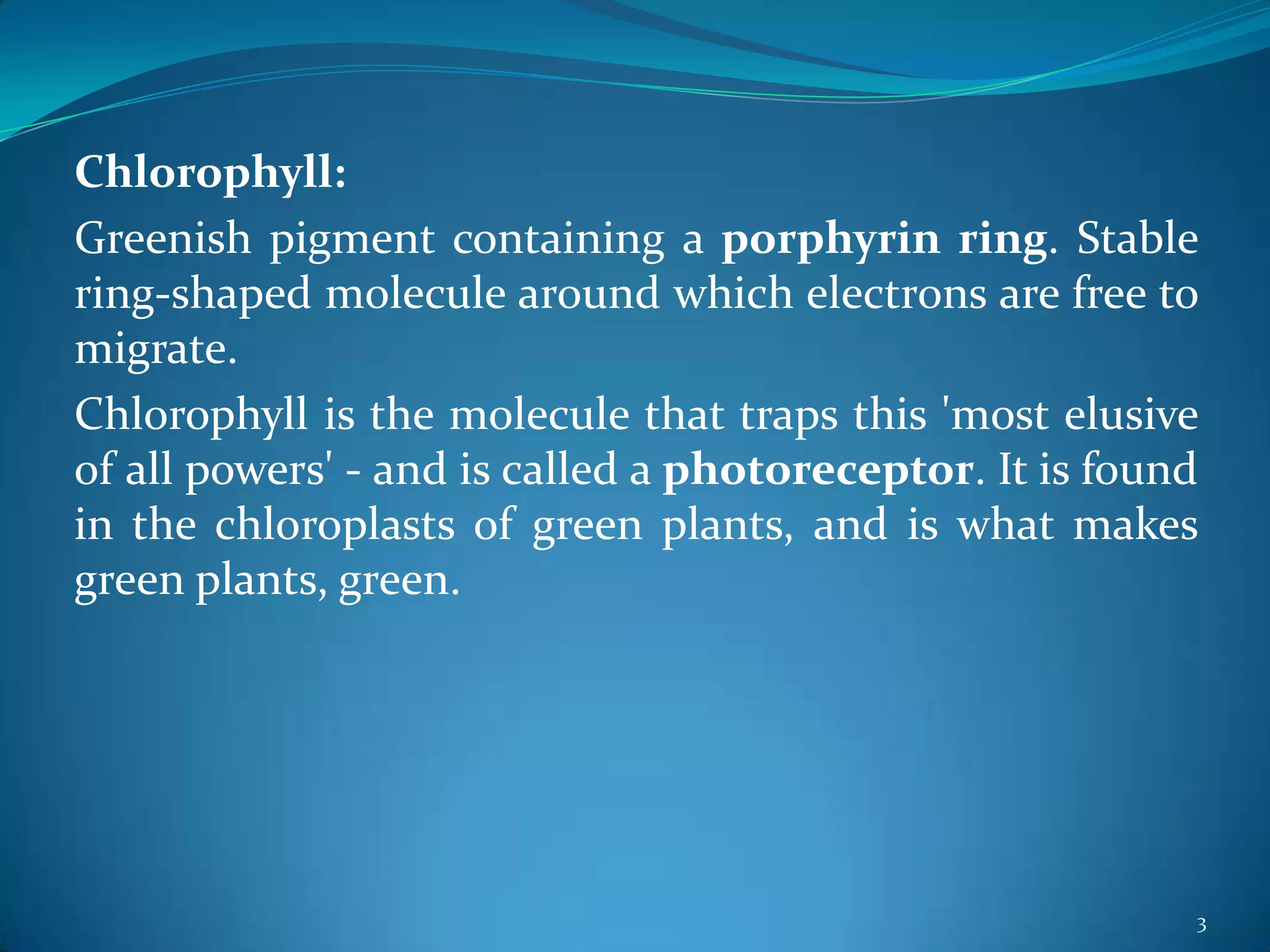 Chlorophyll 120407103548-phpapp02 | PPT