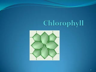 Chlorophyll 120407103548-phpapp02 | PDF