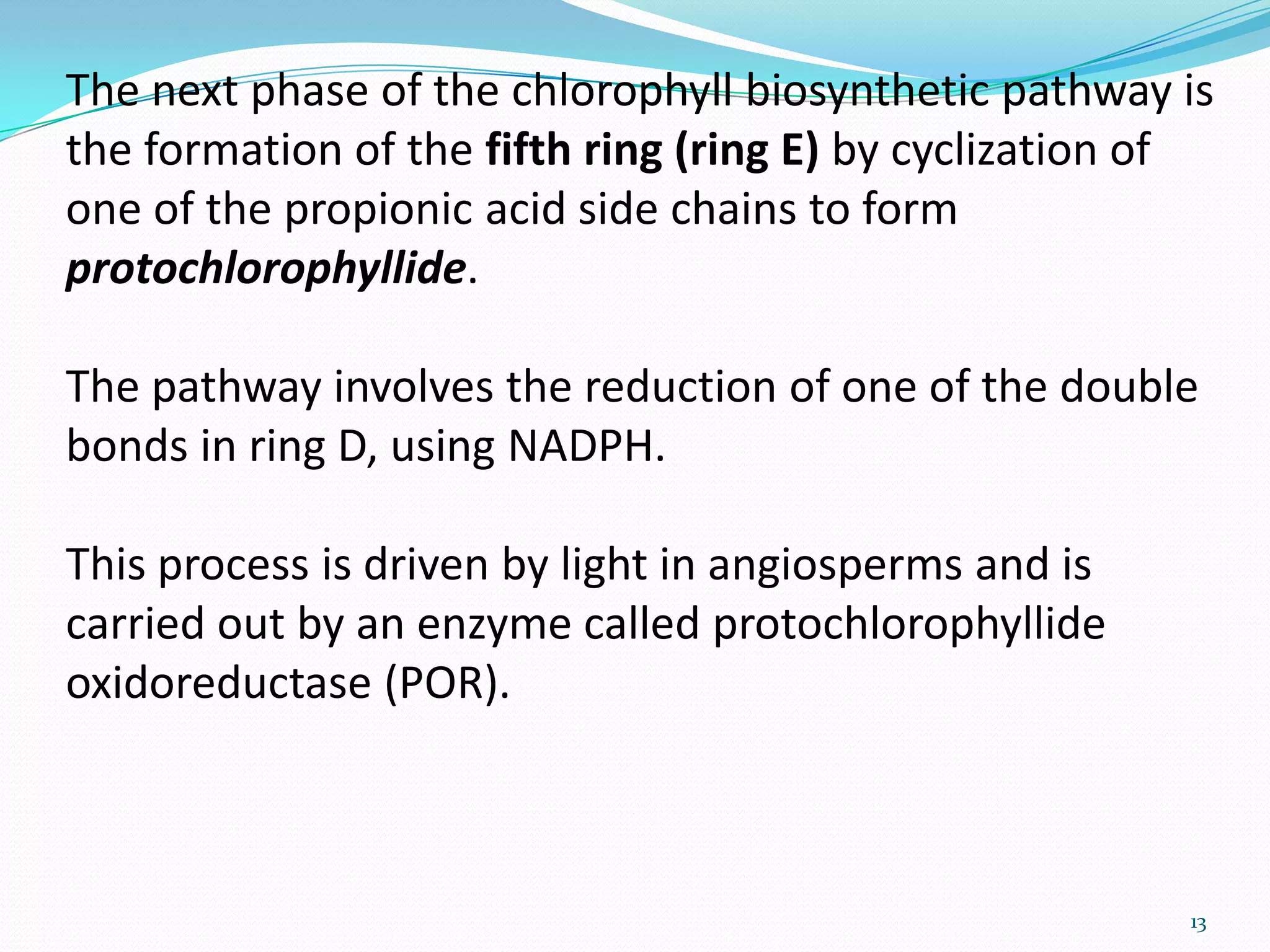 Chlorophyll | PPTX