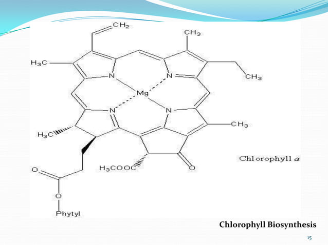 Chlorophyll | PPTX | Chemistry | Science