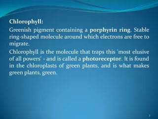 Chlorophyll | PPTX