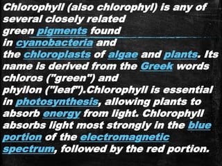 Chlorophyll | PPTX