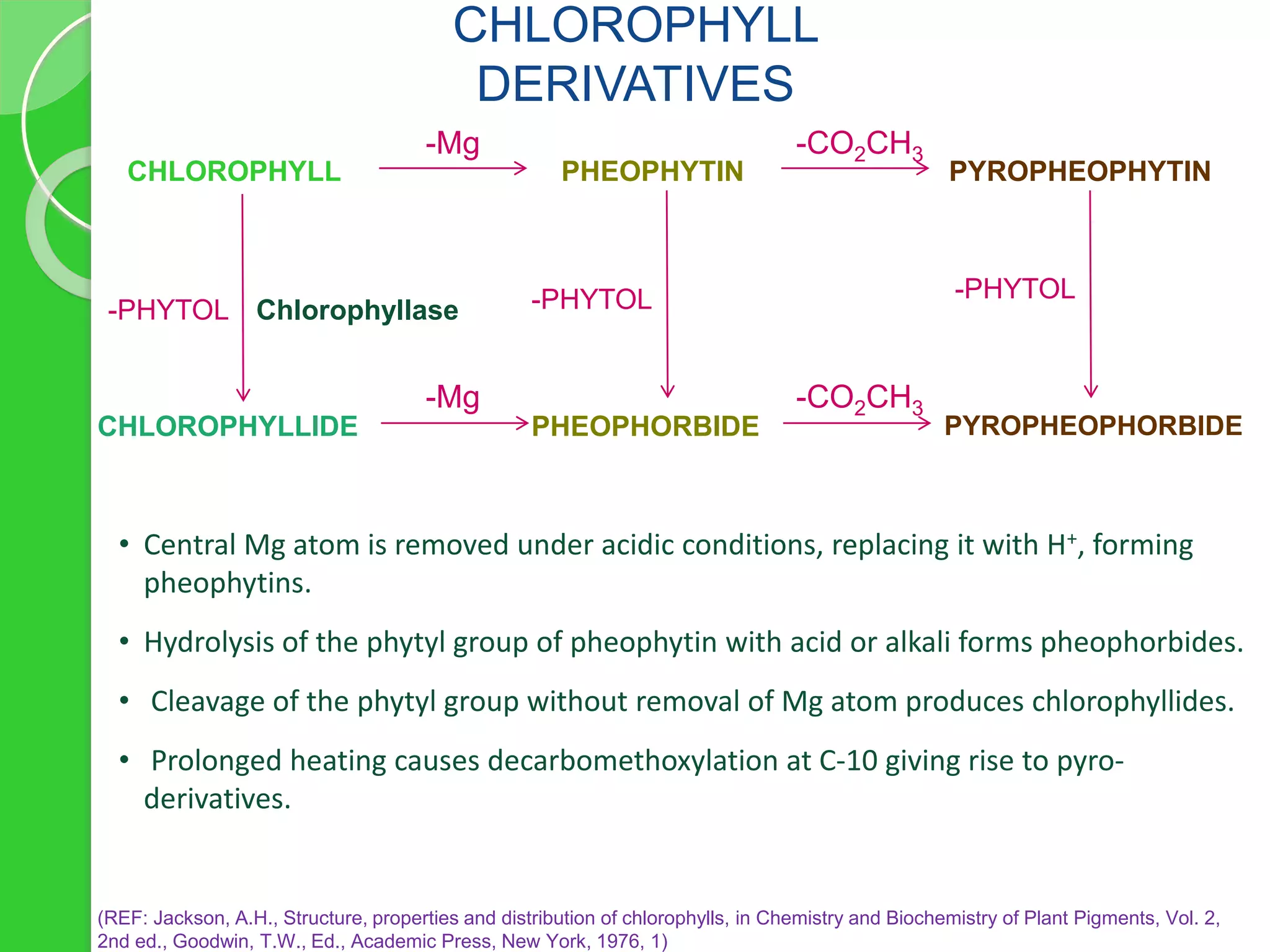 Chlorophyll | PPTX