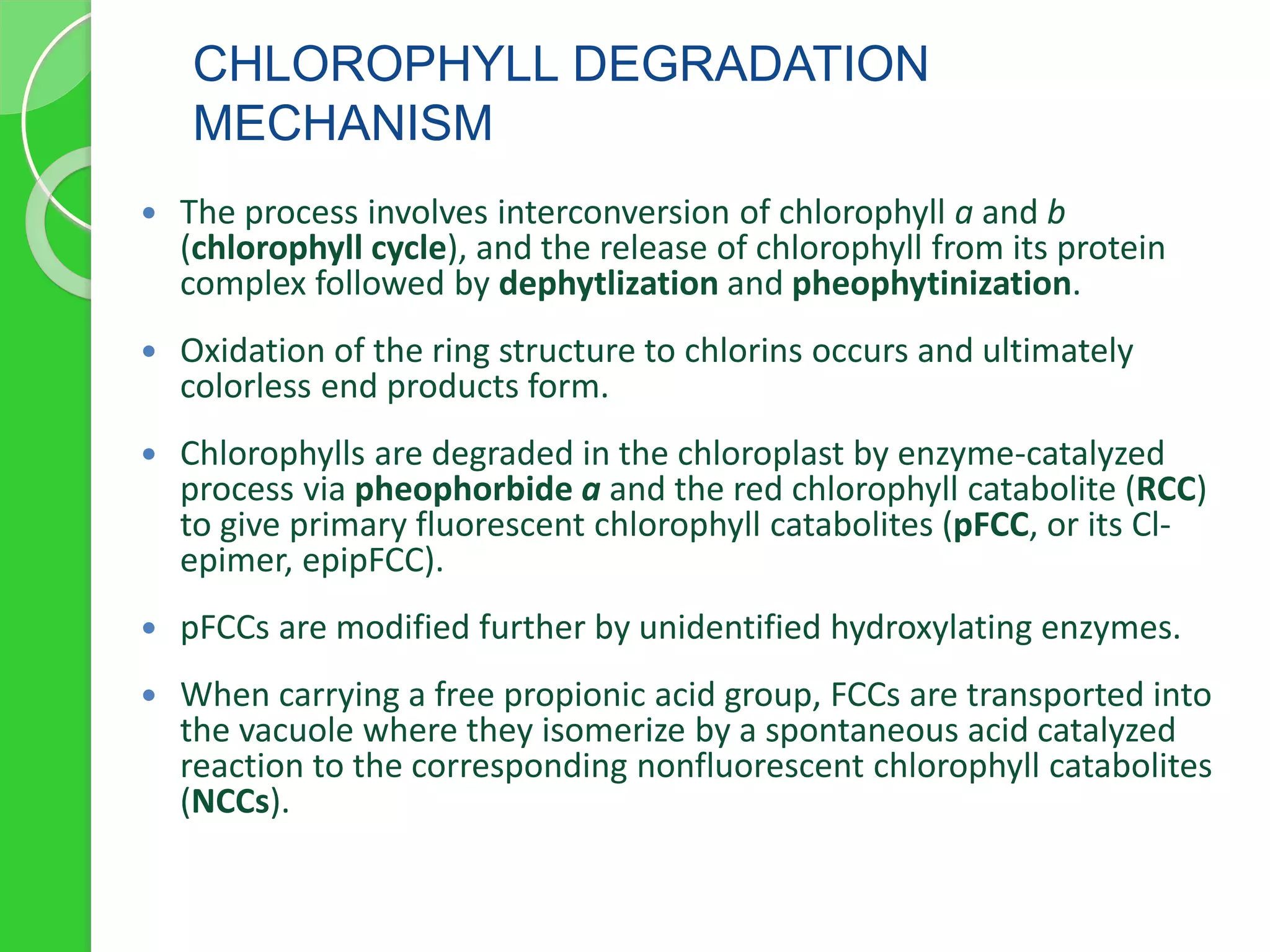 Chlorophyll | PPTX