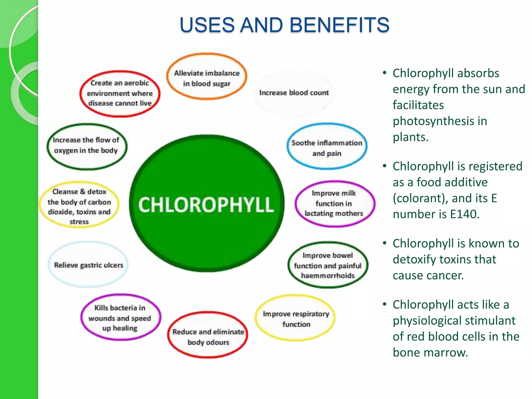 Chlorophyll | PPTX