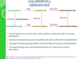Chlorophyll | PPTX