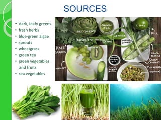 Chlorophyll | PPTX | Science