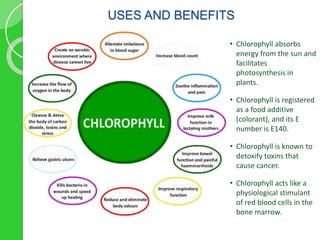 Chlorophyll | PPTX