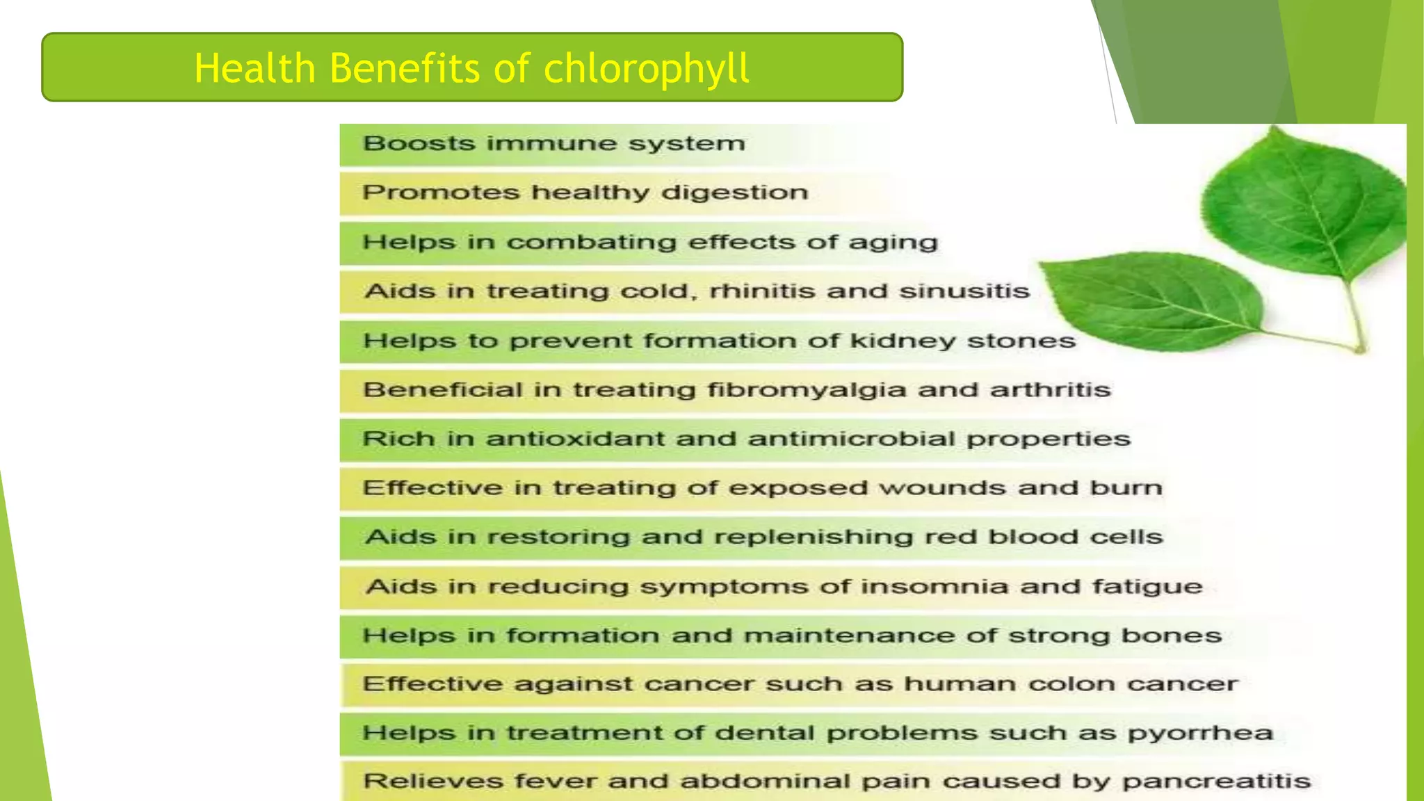 Chlorophyll | PPTX