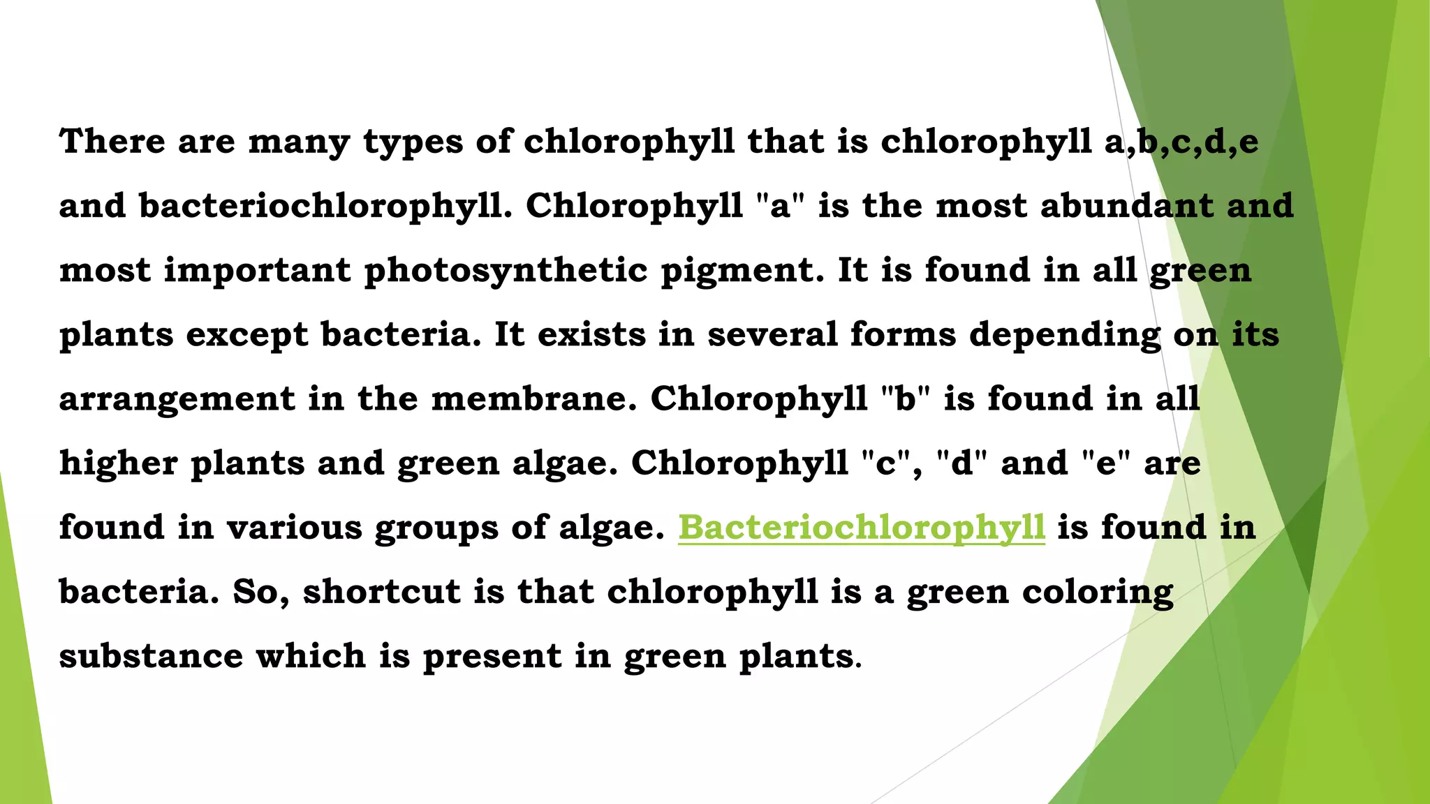 Chlorophyll | PPTX