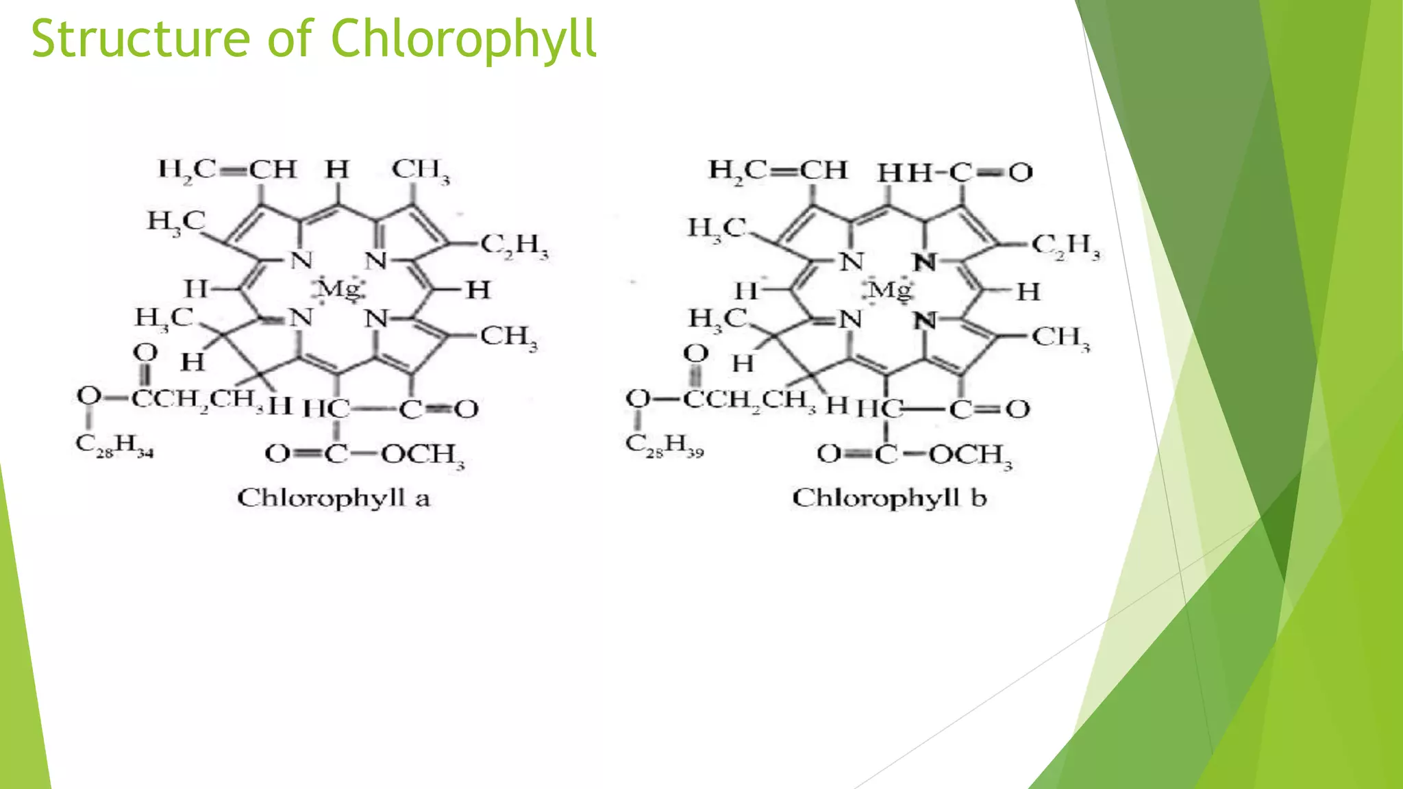 Chlorophyll | PPTX