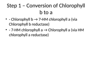 Chlorophyll degradation senesence presentation | PPTX