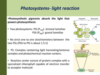 Chlorophyll flourescence | PPTX
