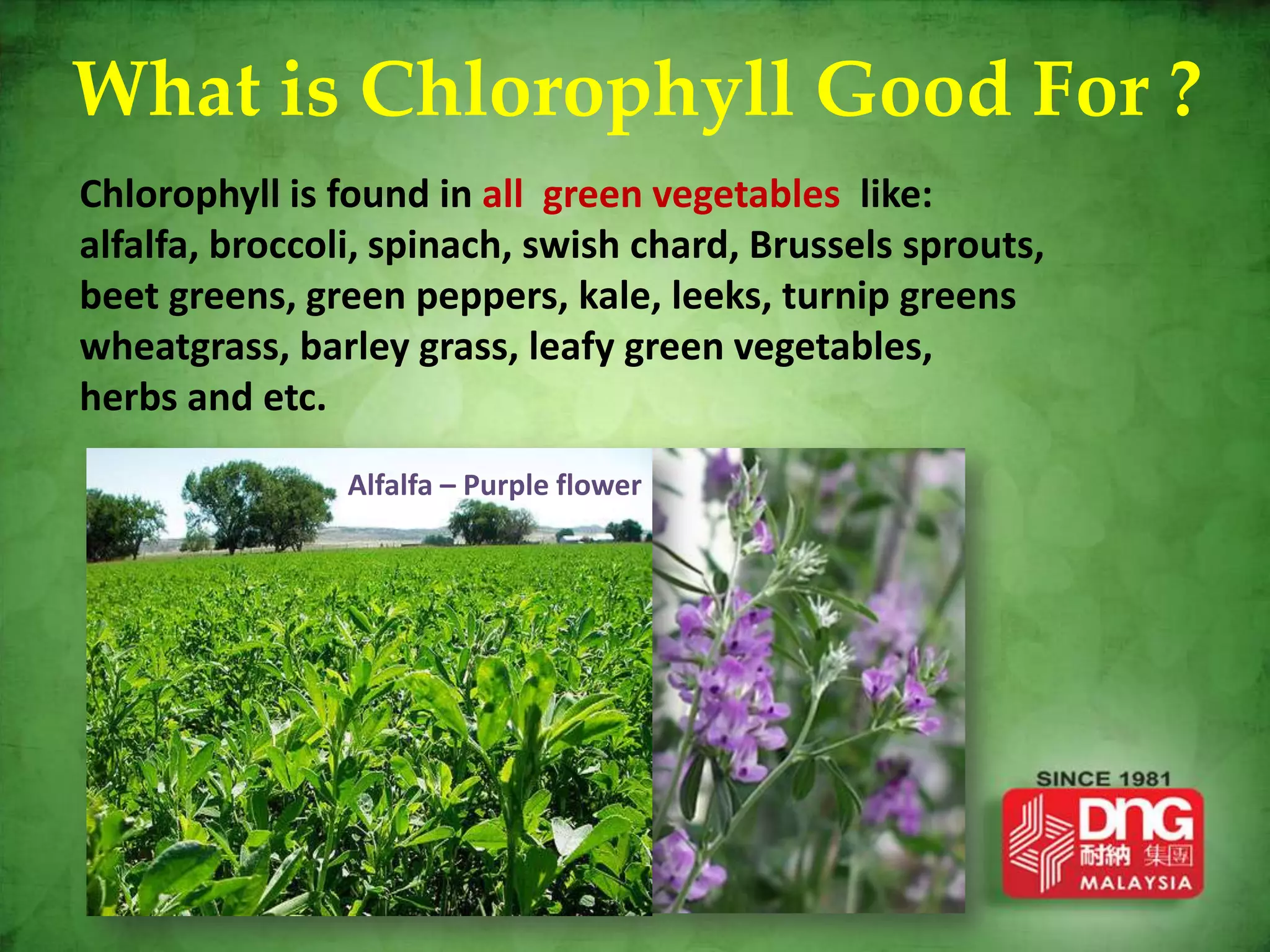 Chlorophyll plus guarana - Presentation | PPSX