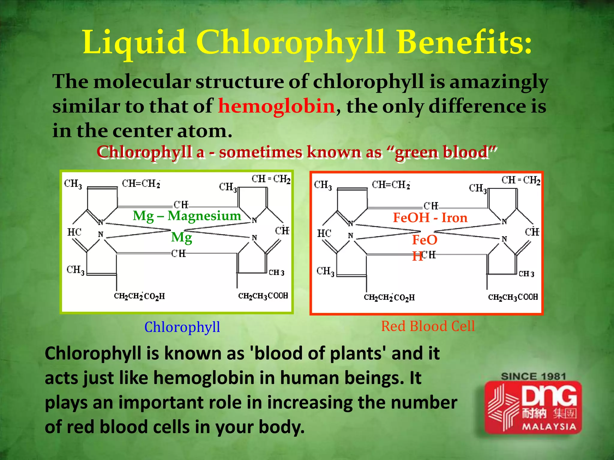 Chlorophyll plus guarana - Presentation | PPSX
