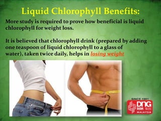 Chlorophyll plus guarana - Presentation | PPSX