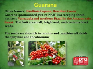 Chlorophyll plus guarana - Presentation | PPSX