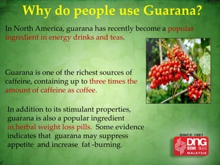 Chlorophyll plus guarana - Presentation | PPSX