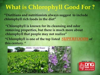 Chlorophyll plus guarana - Presentation | PPSX