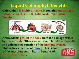 Chlorophyll plus guarana - Presentation | PPSX