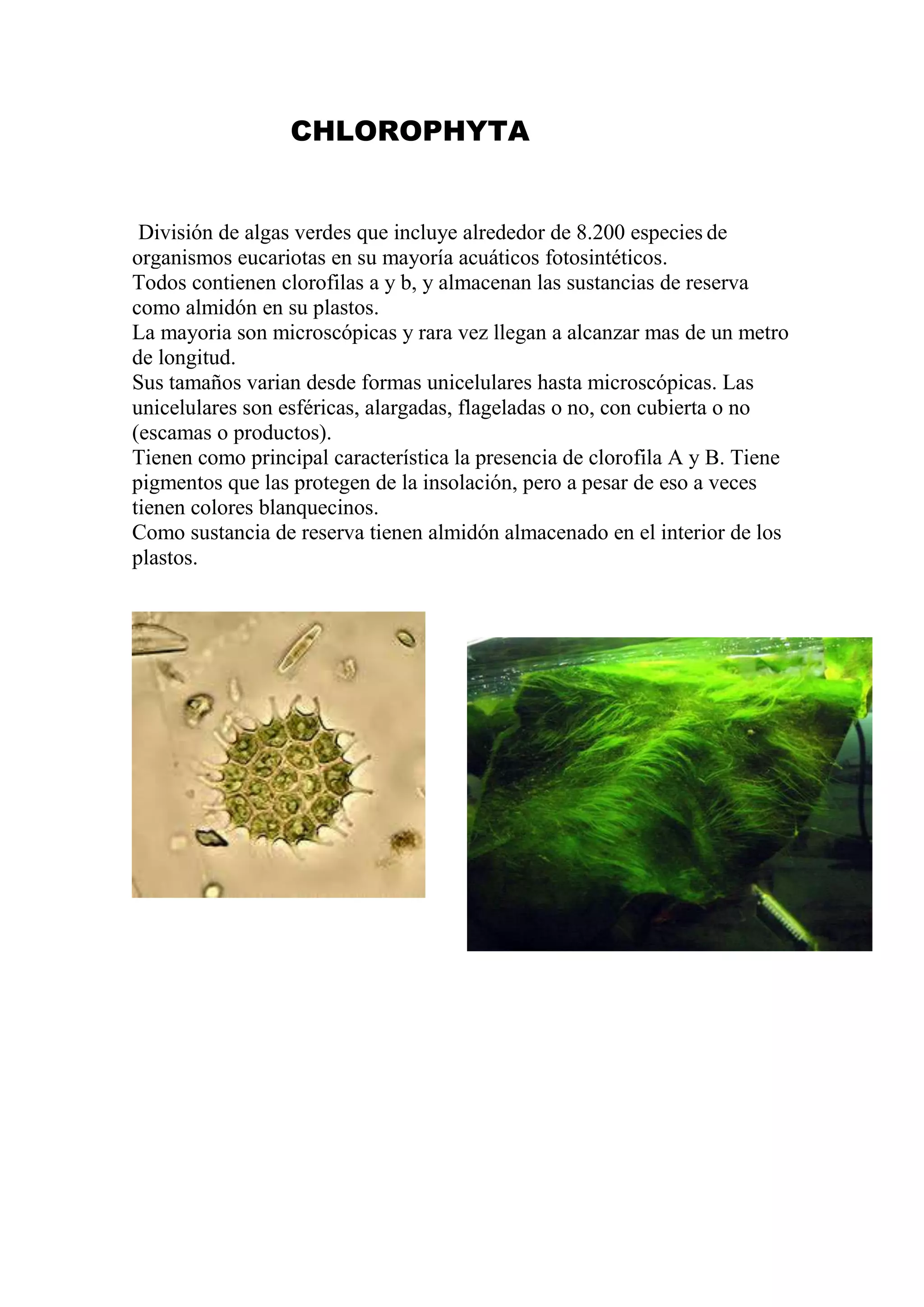 Chlorophyta | DOC