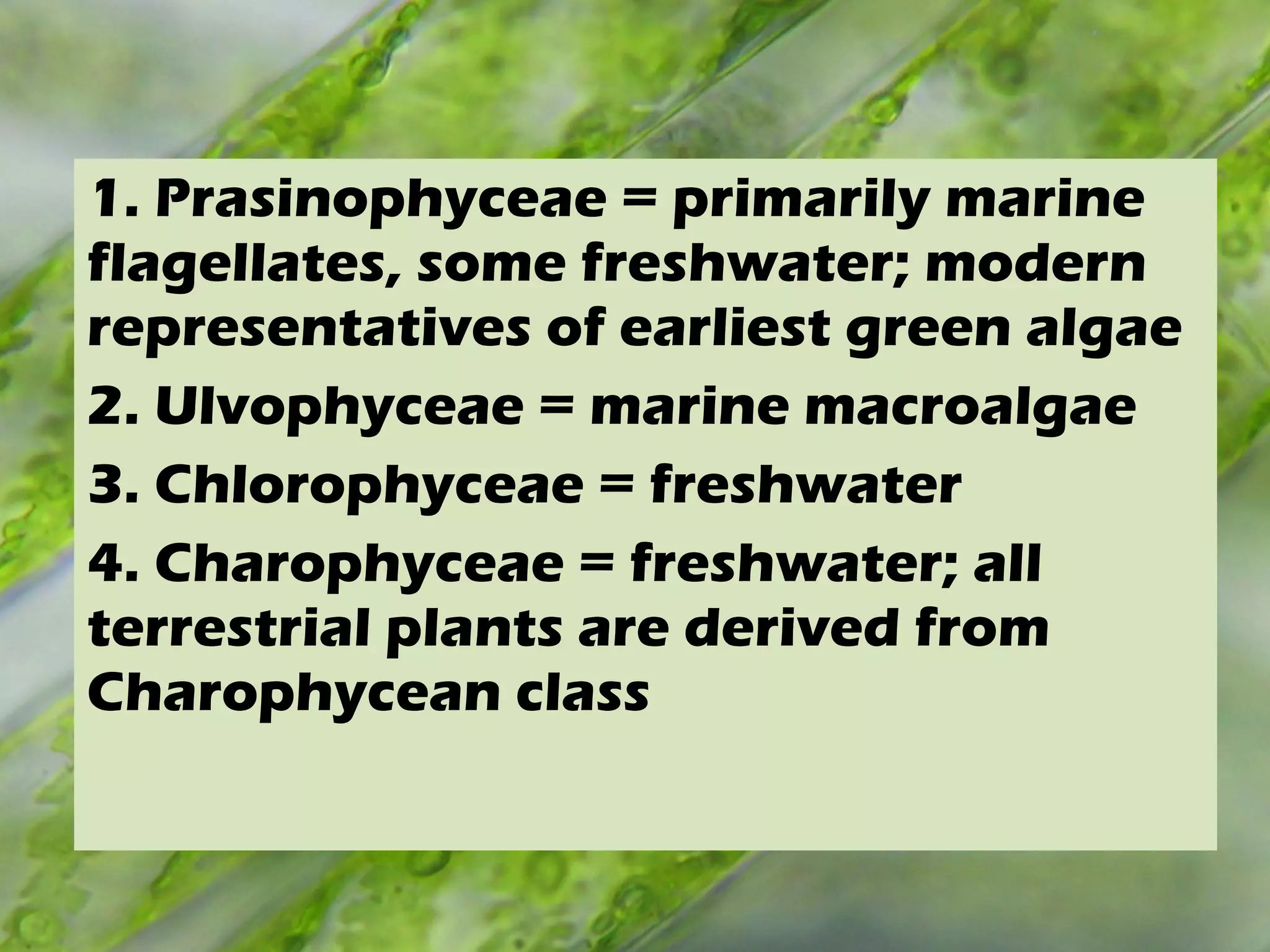 Chlorophyta | PPT