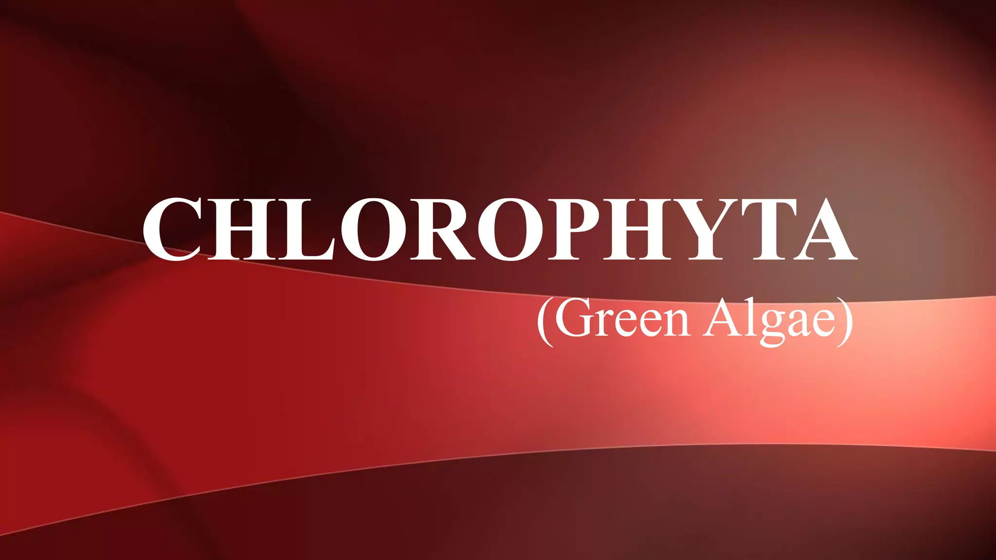 Chlorophyta: (Green Algae) The Phylum of Kingdom Protista. | PPT