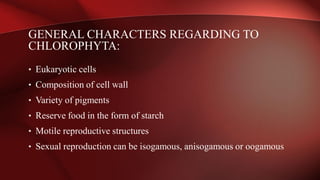 Chlorophyta: (Green Algae) The Phylum of Kingdom Protista. | PPT
