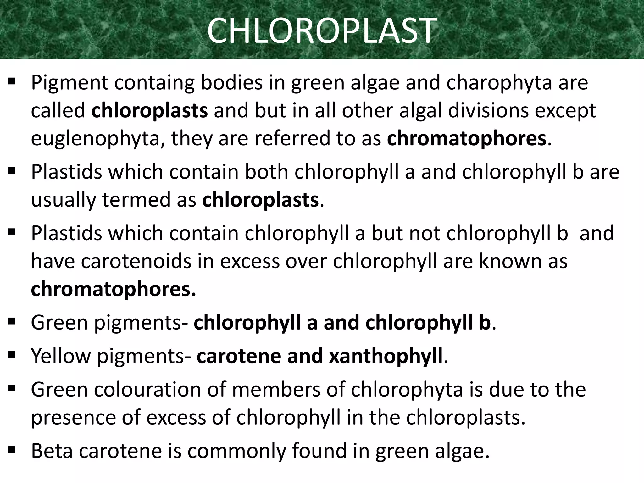 Chlorophyta | PPTX